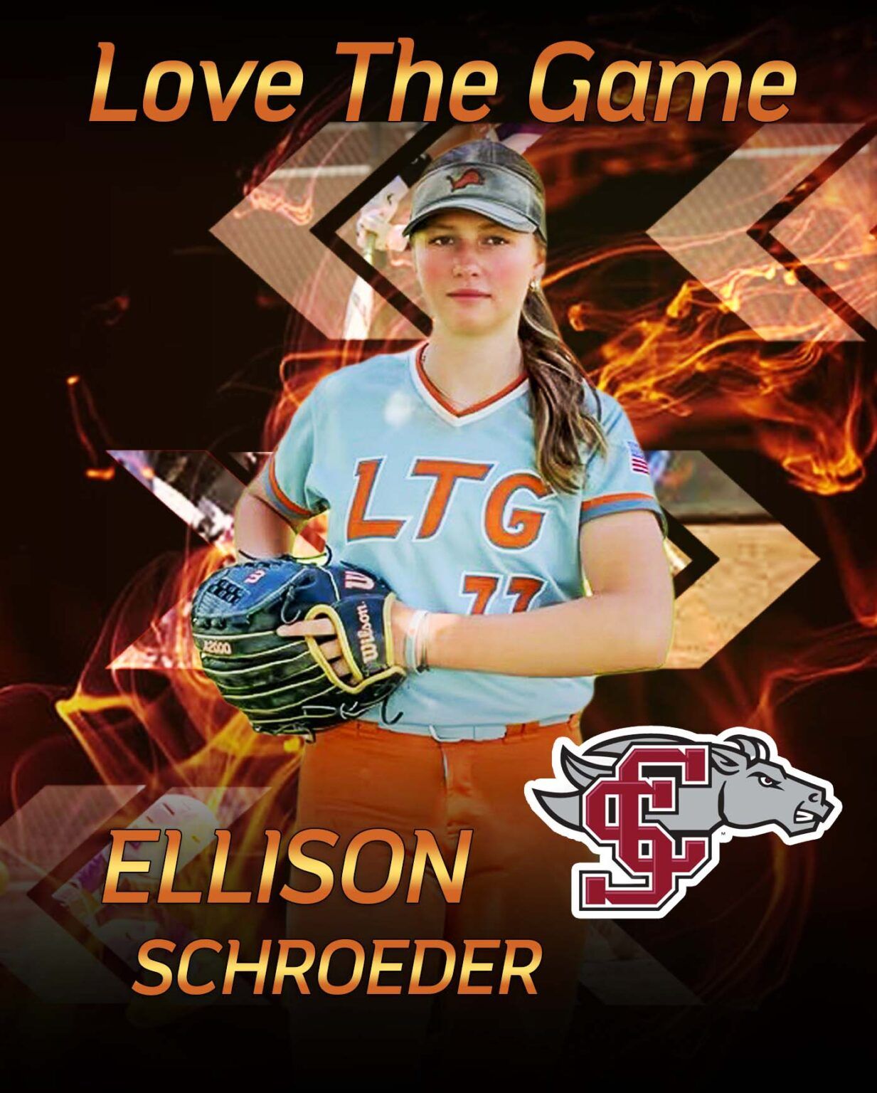 Home of LTG Lions Softball